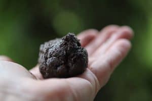 How To Make Seed Balls For The Garden - Farmhouse & Blooms