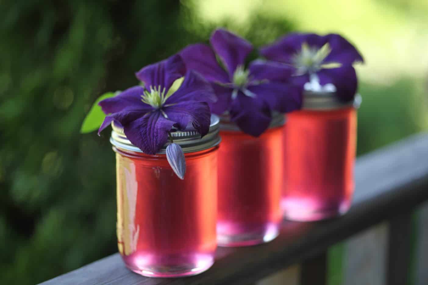 How To Make Fireweed Jelly - Farmhouse & Blooms