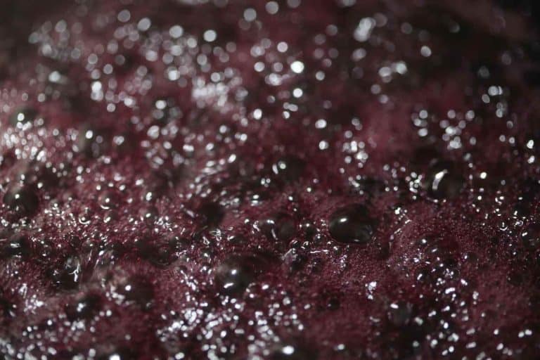 How To Make Serviceberry Jam - Farmhouse & Blooms