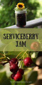 How To Make Serviceberry Jam - Farmhouse & Blooms