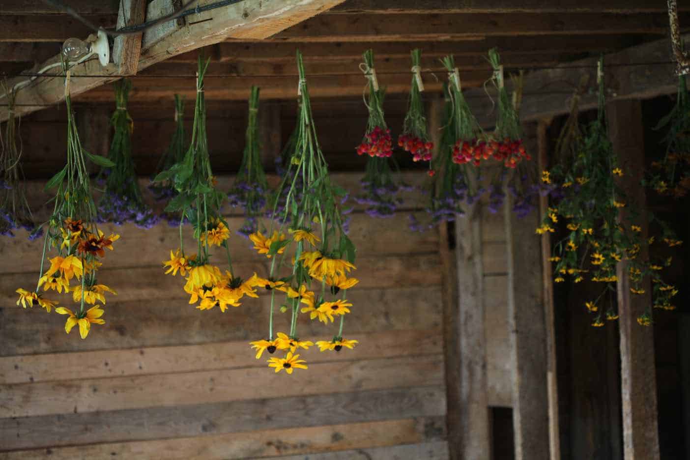 How To Dry Flowers Upside Down - Preserve Your Blooms | Farmhouse & Blooms