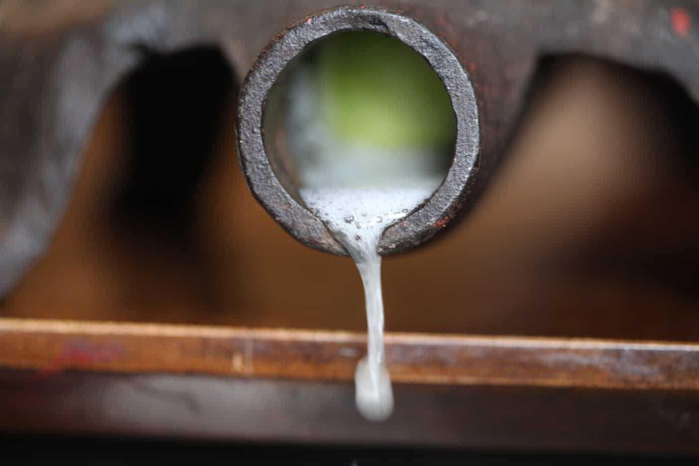 How To Make Apple Cider With A Press - Farmhouse & Blooms
