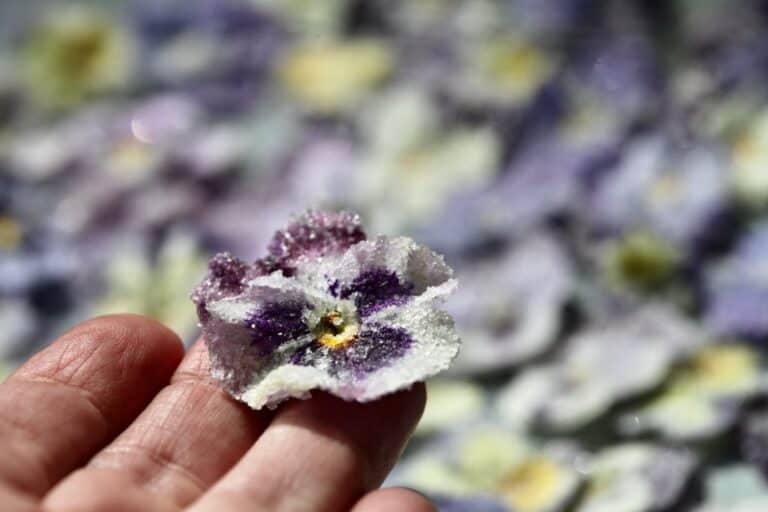 How To Make Edible Candied Flowers- Sparkling Blooms - Farmhouse & Blooms