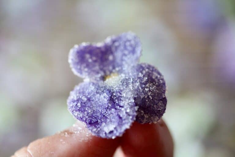 How To Make Edible Candied Flowers- Sparkling Blooms - Farmhouse & Blooms