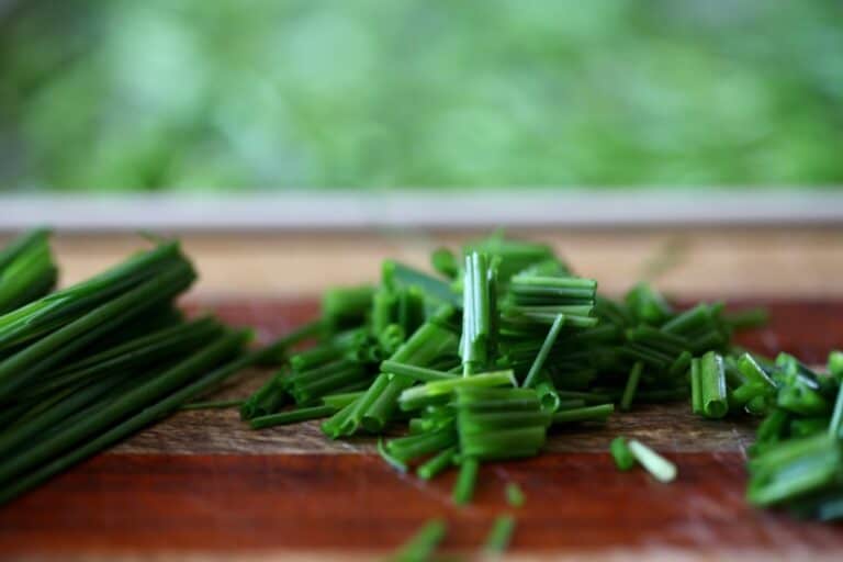 How To Dry Chives - Preserve Your Herbs | Farmhouse & Blooms