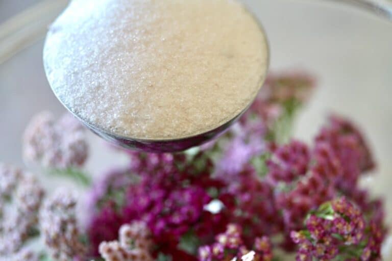 How To Dry Yarrow For Flower Arrangements - Farmhouse & Blooms