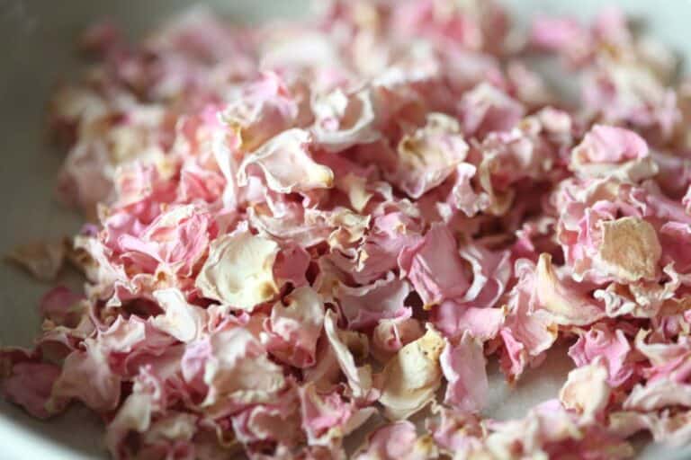 How To Dry Rose Petals - Preserve Your Blooms | Farmhouse & Blooms