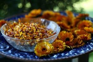 How To Dry Calendula- Harvest, Dry And Store - Farmhouse & Blooms