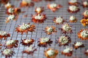How To Dry Calendula- Harvest, Dry And Store - Farmhouse & Blooms