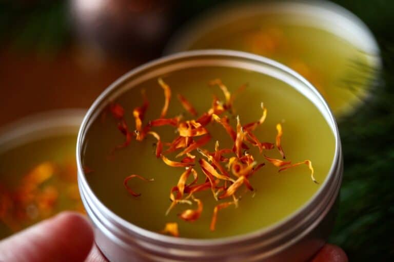 How To Make Calendula Salve- With Calendula Infused Oil - Farmhouse ...