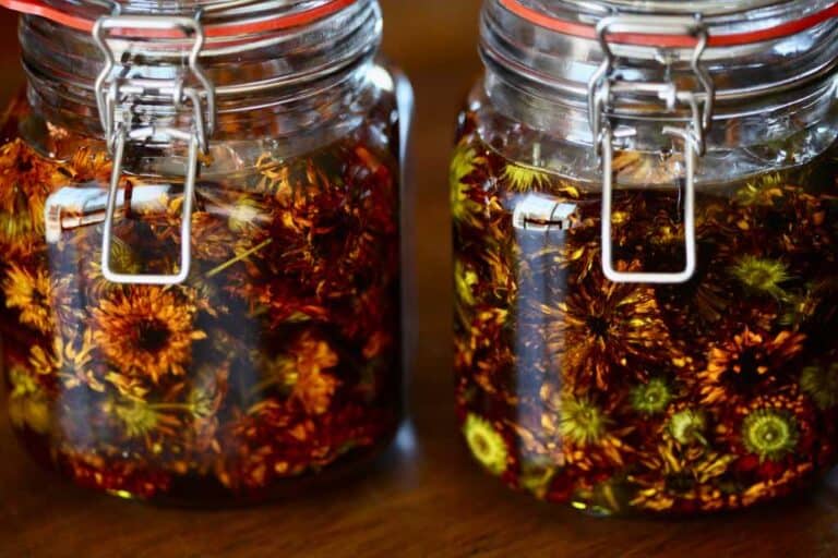 How To Make Calendula Salve- With Calendula Infused Oil - Farmhouse ...