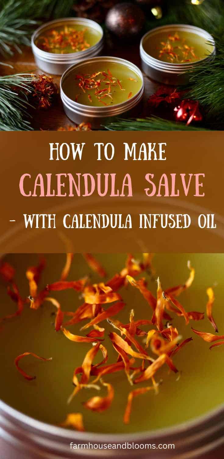 How To Make Calendula Salve- With Calendula Infused Oil - Farmhouse ...