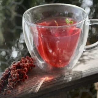 How To Make Sumac Tea- Sumac Tea Recipe - Farmhouse & Blooms