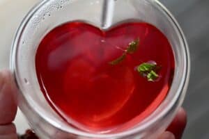 How To Make Sumac Tea- Sumac Tea Recipe - Farmhouse & Blooms