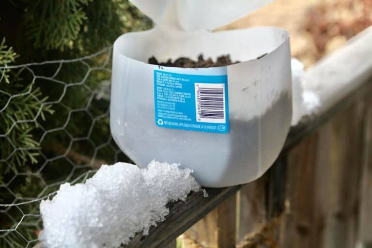 Winter Sowing Perennial Seeds- Planting And Care | Farmhouse & Blooms