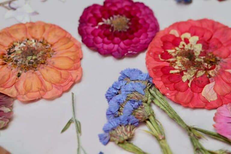 Make A DIY Flower Press -Preserve Your Blooms - Farmhouse & Blooms