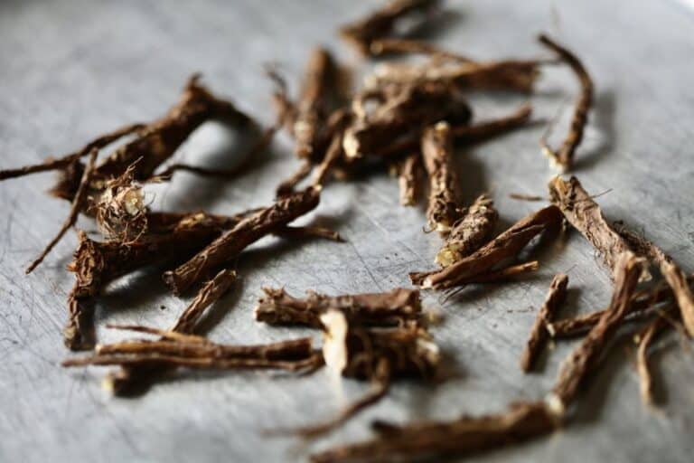 How To Roast Dandelion Root For Tea (Or Coffee) | Farmhouse & Blooms