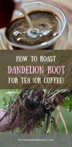 How To Roast Dandelion Root For Tea (Or Coffee) | Farmhouse & Blooms