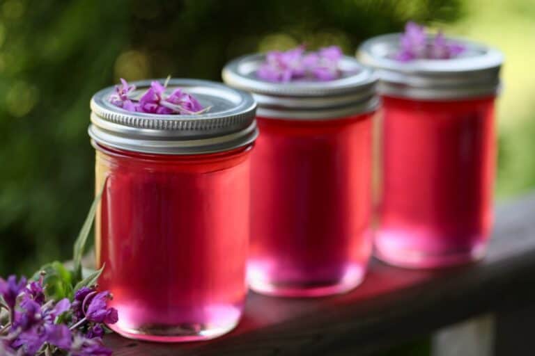 The Art Of Collecting Fireweed Seeds- Collection And Storage ...