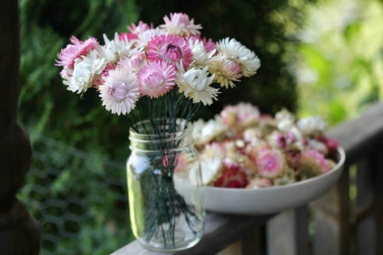 How To Wire Strawflowers - Farmhouse & Blooms