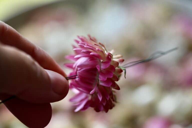 How To Wire Strawflowers - Farmhouse & Blooms
