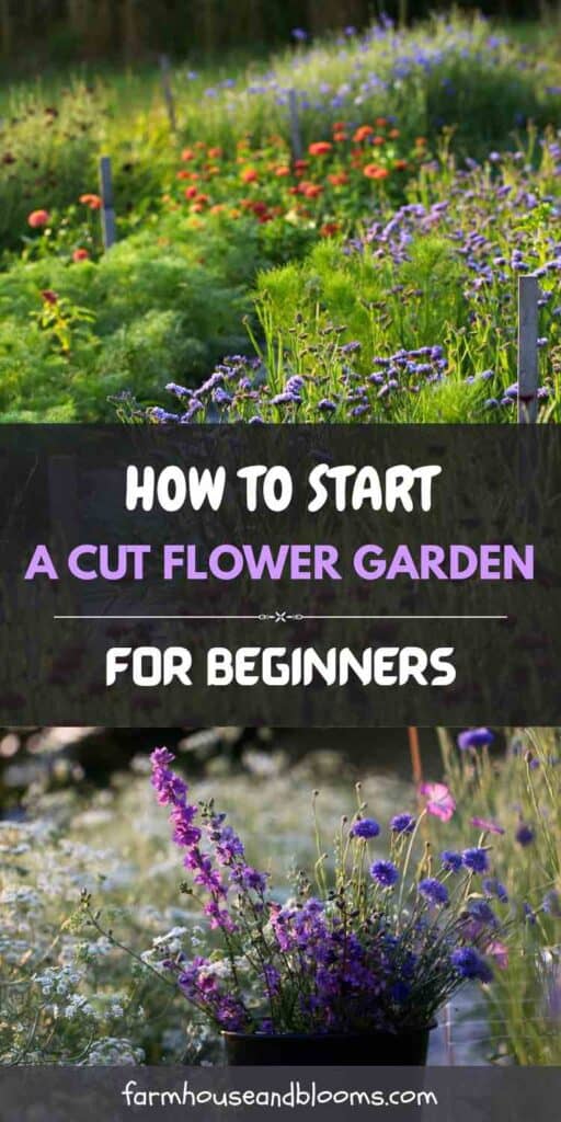 How To Start A Cut Flower Garden For Beginners | Farmhouse & Blooms
